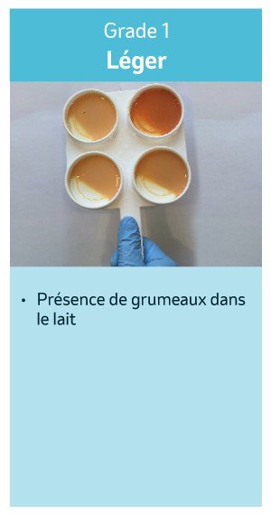 C'est quoi une mammite ? - Sante Troupeau